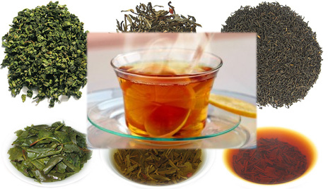 Variedades de té y sus propiedades